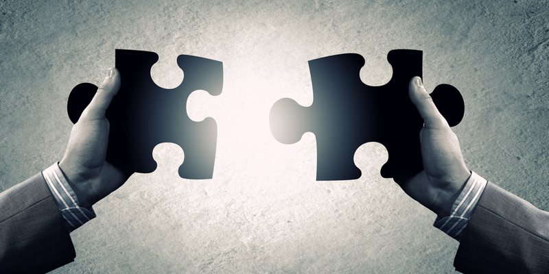 How to Find the Best Exhibit House Partner